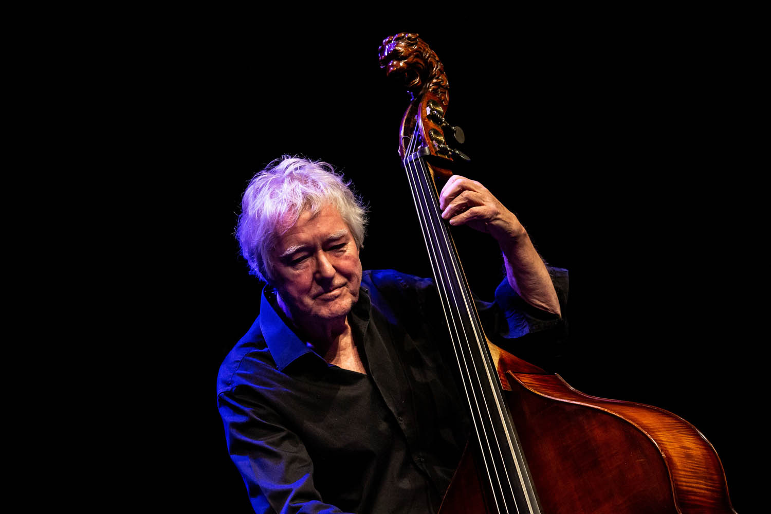 Arild Andersen tildeles St. Olavs Orden - Jazz i Norge